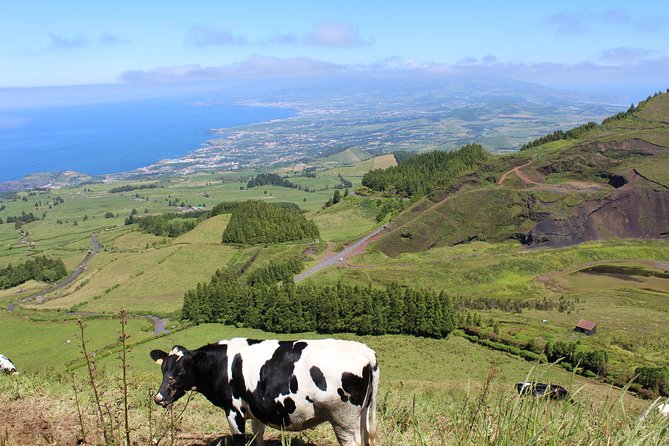 Half Day Sete Cidades PRIVATE Jeep Tour - Private Jeep Transportation