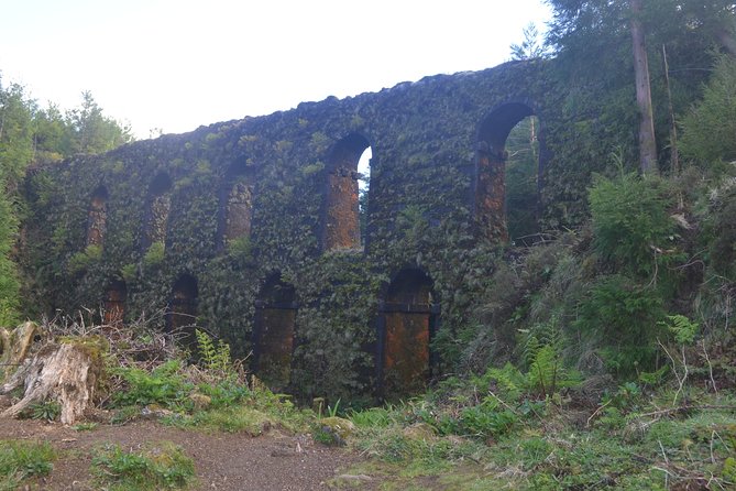 Half Day Sete Cidades (West Side of the Island) - Visiting the Caldera