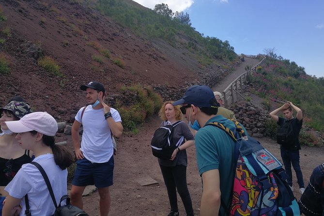Half day shore excursion to Mount Vesuvius (2 hours) - An In-Depth Look at the Experience