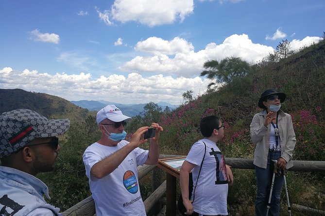 Half day shore excursion to Mount Vesuvius (2 hours) - Who Will Love This Tour?