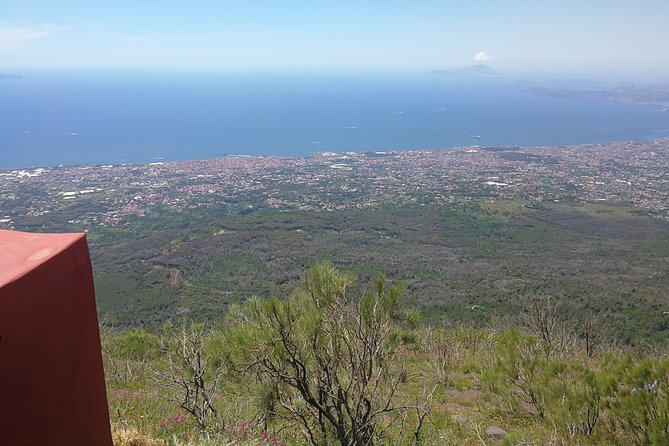 Half day shore excursion to Mount Vesuvius (2 hours) - The Sum Up