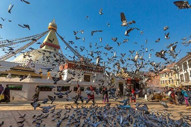 Half day sightseeing tour Kathmandu ( Boudhnath Stupa and Pasupati Temple ) - Transportation and Logistics: Making It Simple
