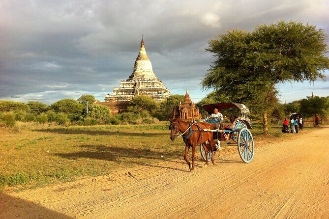 Half Day Sightseeing With Royal Horse - Who is This Tour Best For?