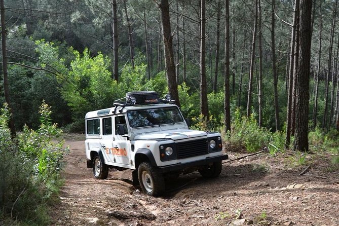 Half-day Sintra Jeep Safari - Practical Considerations and Value
