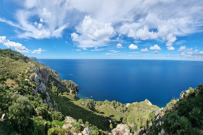 Half Day Slingshot Tour From Paguera - Exploring the Slingshot Experience