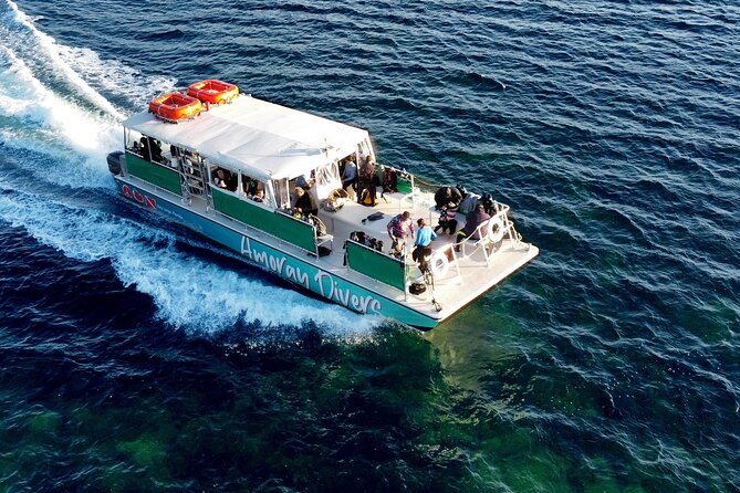 Half-Day Small-Group 2-Tank Scuba Dive in Key Largo (CERTIFIED DIVERS ONLY) - What to Expect on the Dive