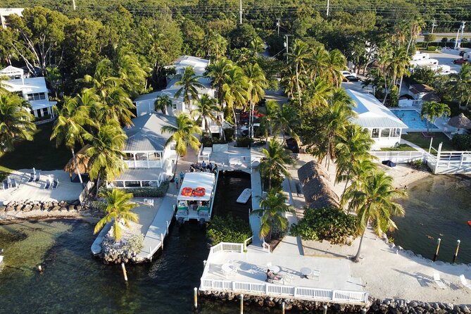 Half-Day Small-Group 2-Tank Scuba Dive in Key Largo (CERTIFIED DIVERS ONLY) - Reviews and Feedback