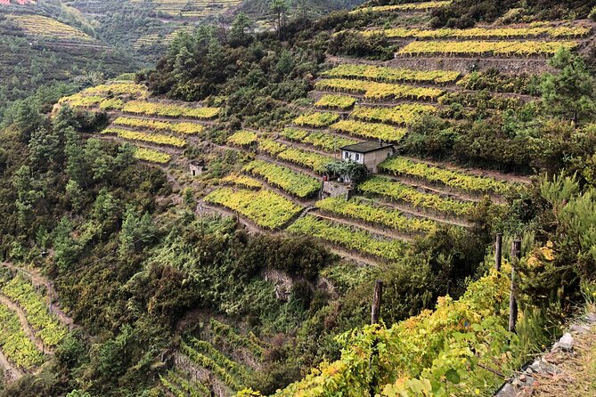 Half Day Small Group Hike to Portovenere with Local Guide - FAQs