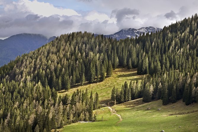 Half-Day Small-Group Hiking Tour of Vievnik - Authentic Experiences and Insights from Travelers