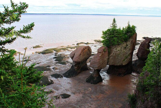 Half-Day Small-Group Tour of Annapolis Valley - Discovering Annapolis Valley: A Thoughtful Review of a Half-Day Tour