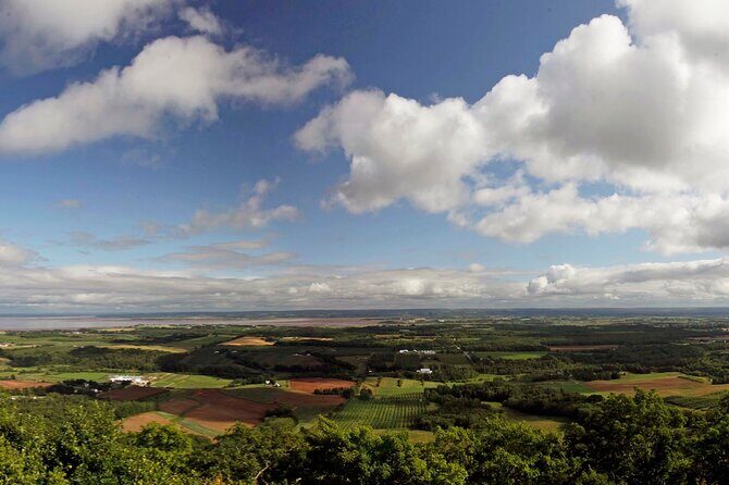 Half-Day Small-Group Tour of Annapolis Valley - A Taste of Coastal Life at Hall’s Harbour