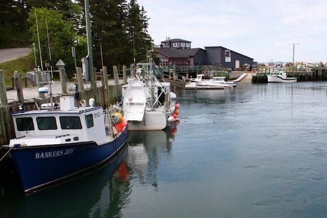 Half-Day Small-Group Tour of Annapolis Valley - Wineries and Cheese: A True Taste of Nova Scotia