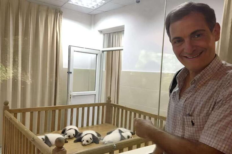 Half day small group tour to Chengdu Panda Breeding Center - An In-Depth Look at the Tour Experience