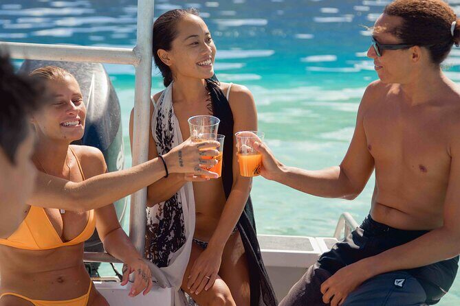 Half Day Small Group Whale Watching - Introducing the Half Day Small Group Whale Watching Tour in Moorea
