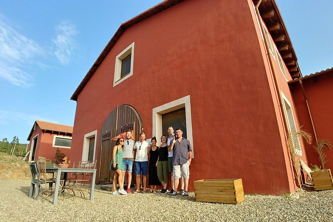 Half-Day Small-Group Wine Experience With Wine Expert From Cagliari - Highlights of Customer Reviews and Feedback