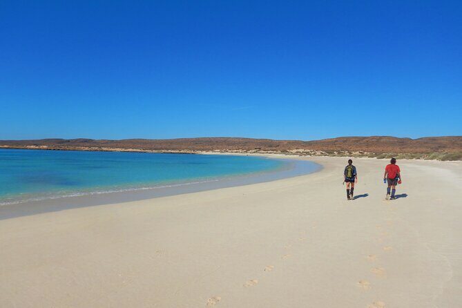 Half Day Snorkel 2.5hr Turtle Tour on the Ningaloo Reef, Exmouth - Authentic Insights from Reviewers