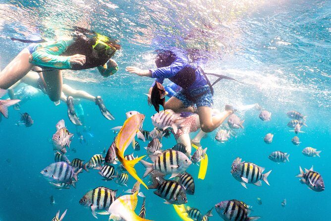 Half-Day Snorkel Sail Tour with Caribbean Lunch - FAQ