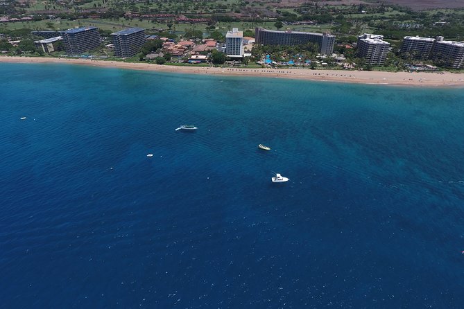 Half Day Snorkel to Lanai From Kaanapali Beach + Dolphin Search - Reviews and Feedback From Previous Participants