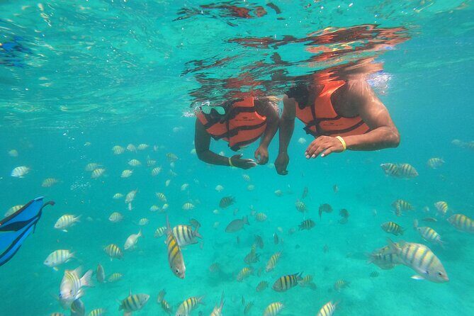 Half-Day Snorkeling Cruise and Natural Pool with Open Bar - Who Will Love This Tour?