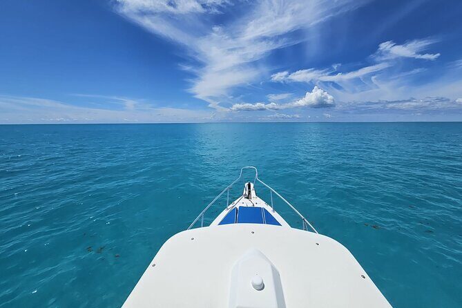 Half-day Snorkeling, Cruising, Iguana Island, Half Moon Bay - FAQs