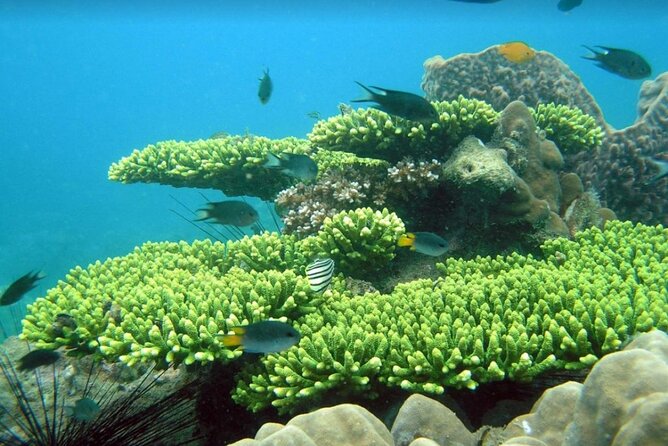Half-day Snorkeling Experience in Phu Quoc Island - The Itinerary in Detail