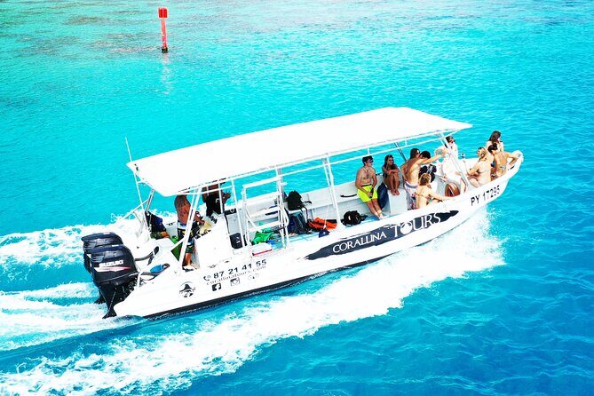 Half Day Snorkeling in Moorea - Exploring the Half Day Snorkeling in Moorea: An Authentic Marine Adventure