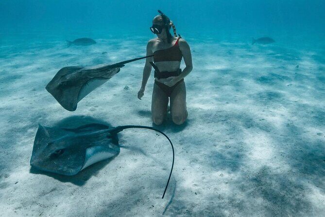 Half Day Snorkeling in Moorea - Authentic Guest Perspectives