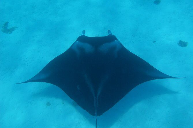 Half day Snorkeling Shared Boat Tour in Bora Bora - The Itinerary: What You’re Likely to Experience