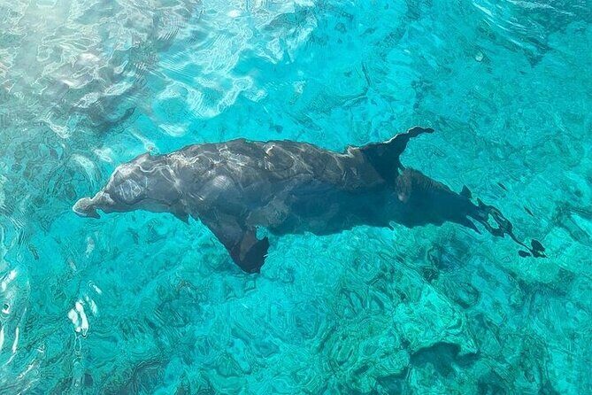 Half Day Snorkeling, Sightseeing & Island Hopping Private Charter - Why This Tour Shines