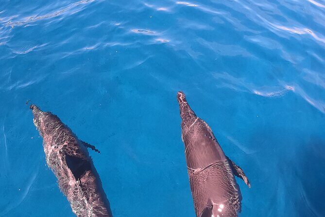 Half-Day Snorkeling Tour from Papeete - Final Thoughts