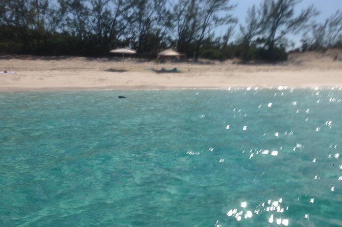 Half Day Snorkeling Tour in the Bahamas - Review Highlights and Authentic Perspectives