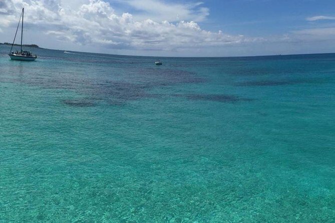 Half Day Snorkeling Tour in the Bahamas - The Sum Up: Who Is This Tour Best For?