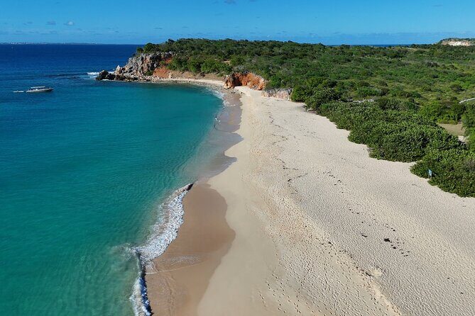 Half day snorkeling tour to Tintamarre islet - Analyzing the Value