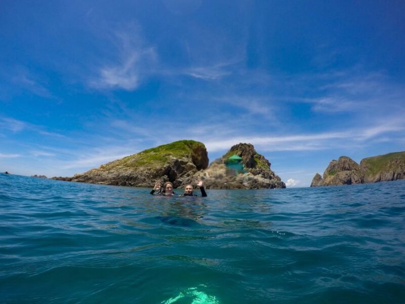 Half-Day Snorkeling trip in Nha Trang with Vietnam Active - Cost, Value, and Overall Impression