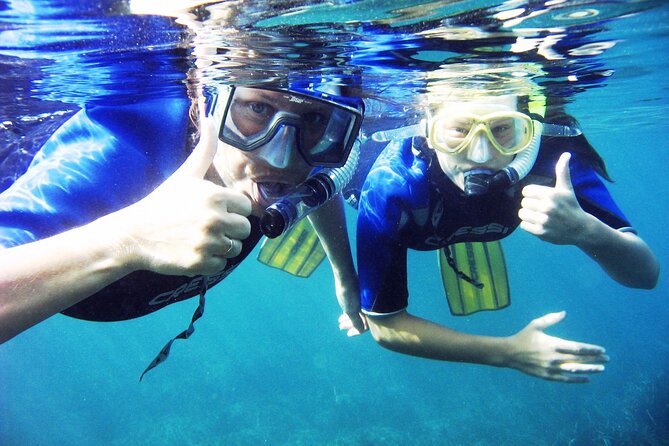 Half Day Snorkelling Experience with a dive boat in Kos Greece - What Makes This Snorkelling Tour Stand Out?