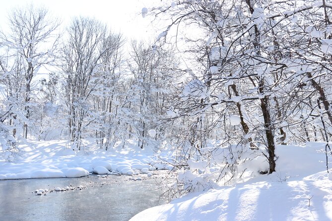 Half Day - Snow View Rafting in Niseko - Pricing and Guarantees