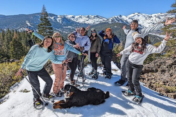 Half Day Snowshoe Hike in Tahoe National Forest - Key Points