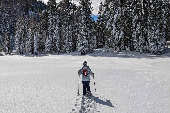 Half Day Snowshoe Hike in Tahoe National Forest - Practical Details: Making the Most of Your Snowshoe Adventure