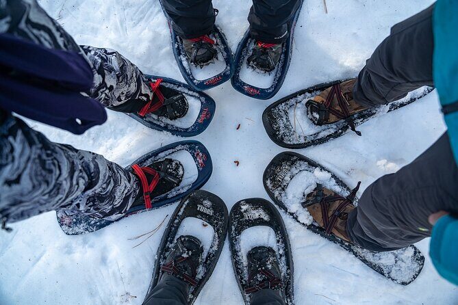 Half Day Snowshoe Hike in Tahoe National Forest - Who Should Consider This Tour?