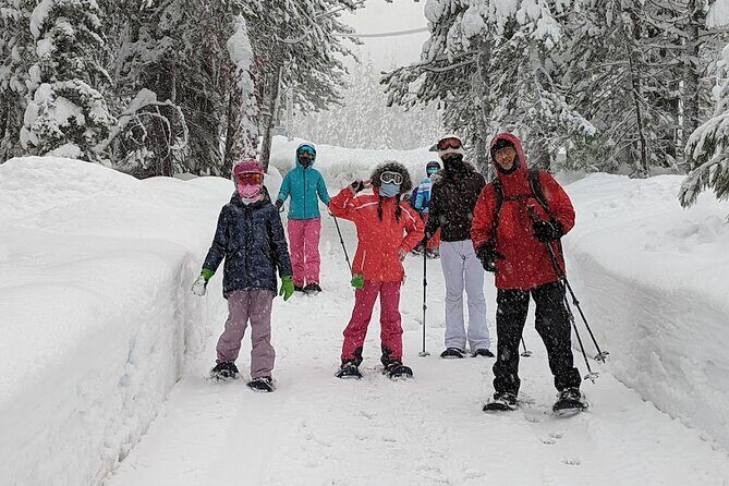 Half Day Snowshoe Hike in Tahoe National Forest - FAQ