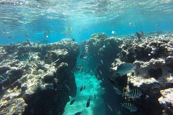 Half Day Sosua Sunset Cruise with Snorkeling - Final Thoughts