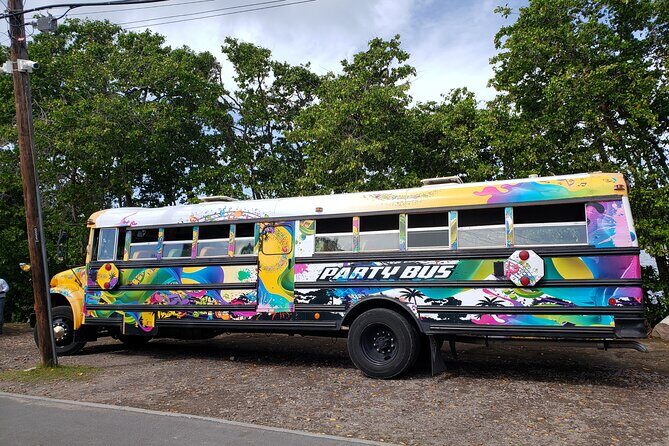 Half Day St. Kitts Party Bus City Excursion and Beach - Authenticity and Value