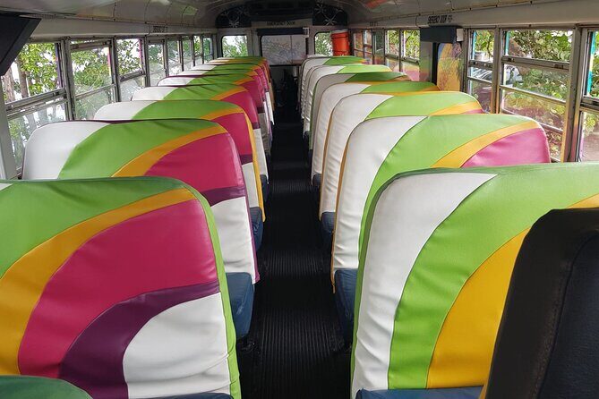 Half Day St. Kitts Party Bus City Excursion and Beach - Who Will Love This Tour?