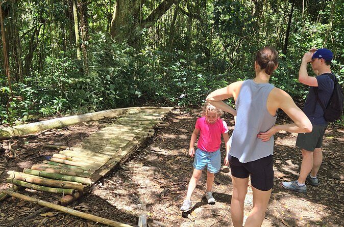 Half-Day St. Kitts Rainforest Hike - FAQ