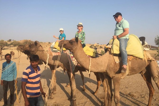 Half-Day Sunset Camel Safari in Rajasthan - Authentic Insights from the Reviews