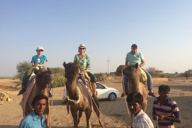 Half-Day Sunset Camel Safari in Rajasthan - The Sum Up: Who Should Consider This Tour?