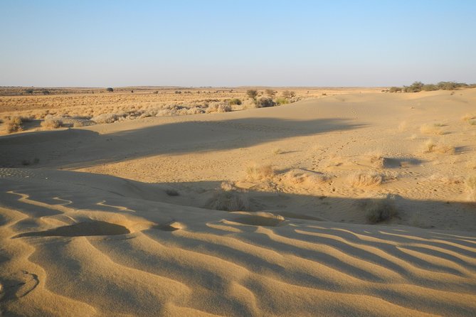 Half Day SunSet Tour with Dinner - Weather Considerations and Cancellation Policy