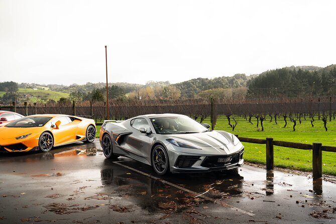 Half-Day Supercar Drive Experience from Auckland - Who Will Love This Experience?