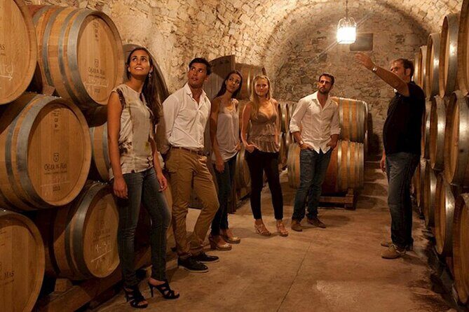 Half Day Swan Valley Afternoon Wine Tour - Premium Small Group Tour - What the Reviews Say