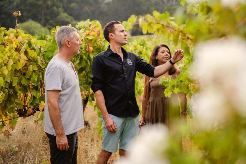 Half-Day Swan Valley Wine Tour with Tastings - From Perth - Key Points